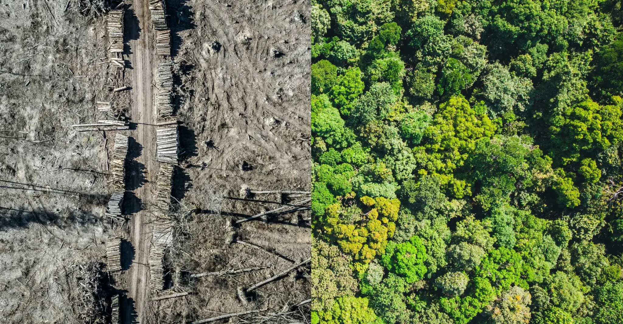 ECOCIDE - GreenUnity Ukraine